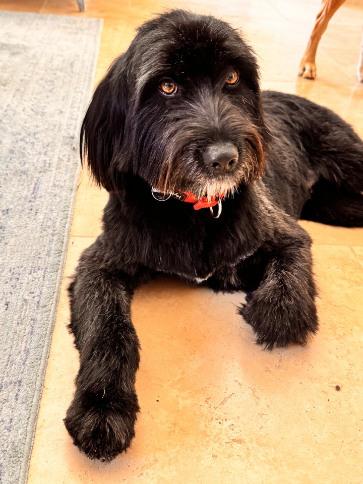 All smart thanks to the... | DawnMH | Blipfoto