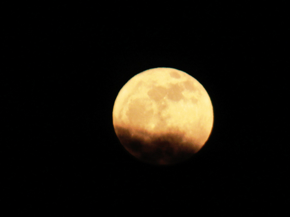 Huge Yellow Moon Rising | gailfotoquest | Blipfoto