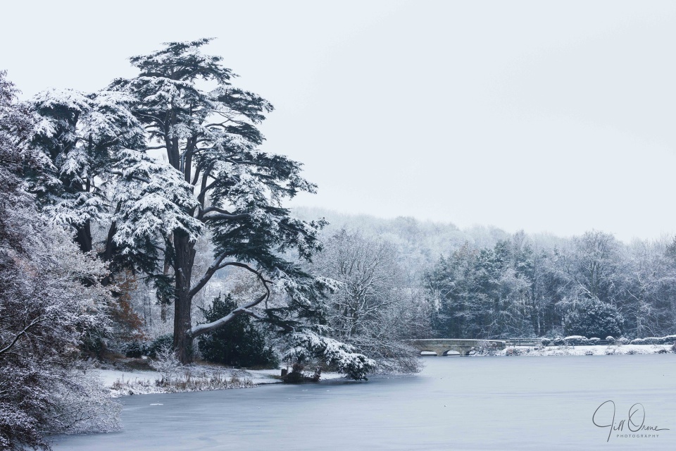 Day out | JDO | Blipfoto