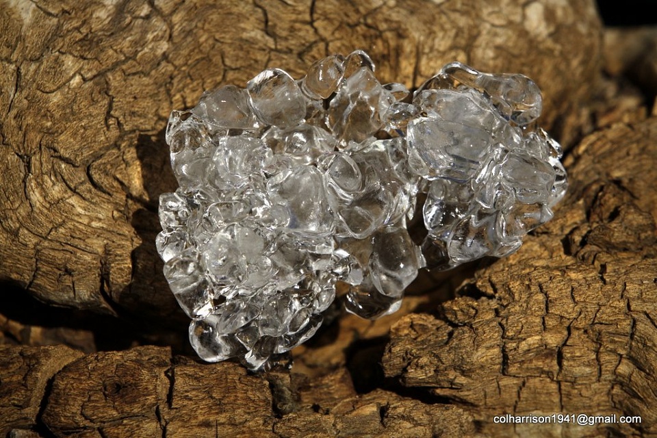 Nice Ice! A Still Life Arrangement. | Idontgiveadam | Blipfoto