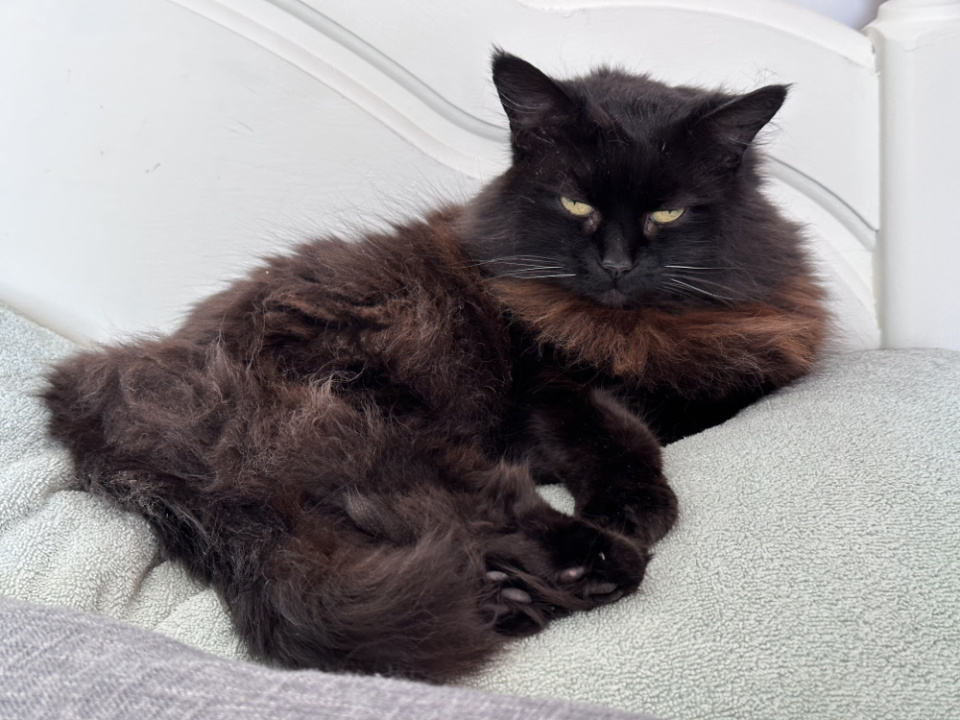 Old lady.. | Pixelstate | Blipfoto