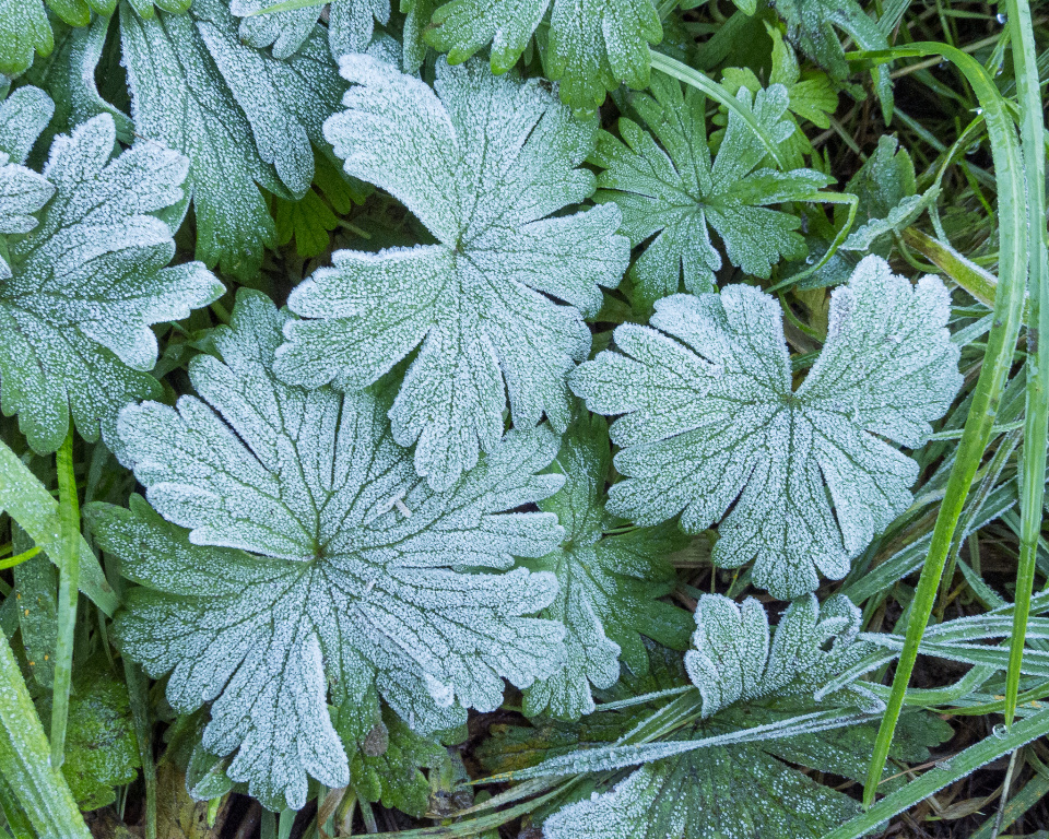 A Bit Of A Shock | madwill | Blipfoto