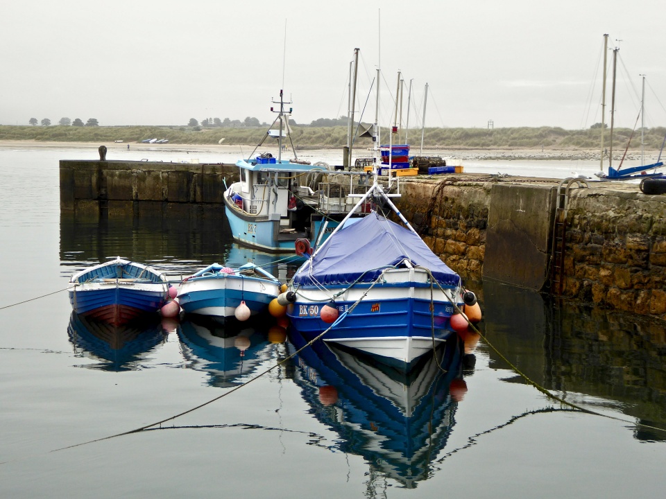 Boats at Beadnell Harbour | seizetheday | Blipfoto