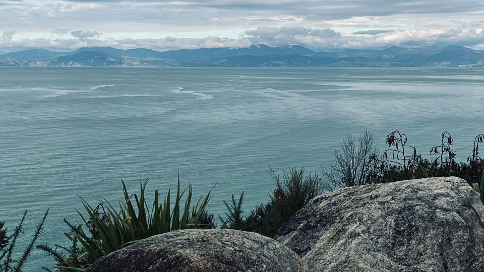 Water... | Miffy | Blipfoto