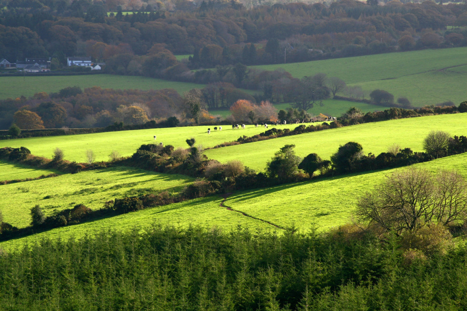 Sloping Pastures | joesblips | Blipfoto