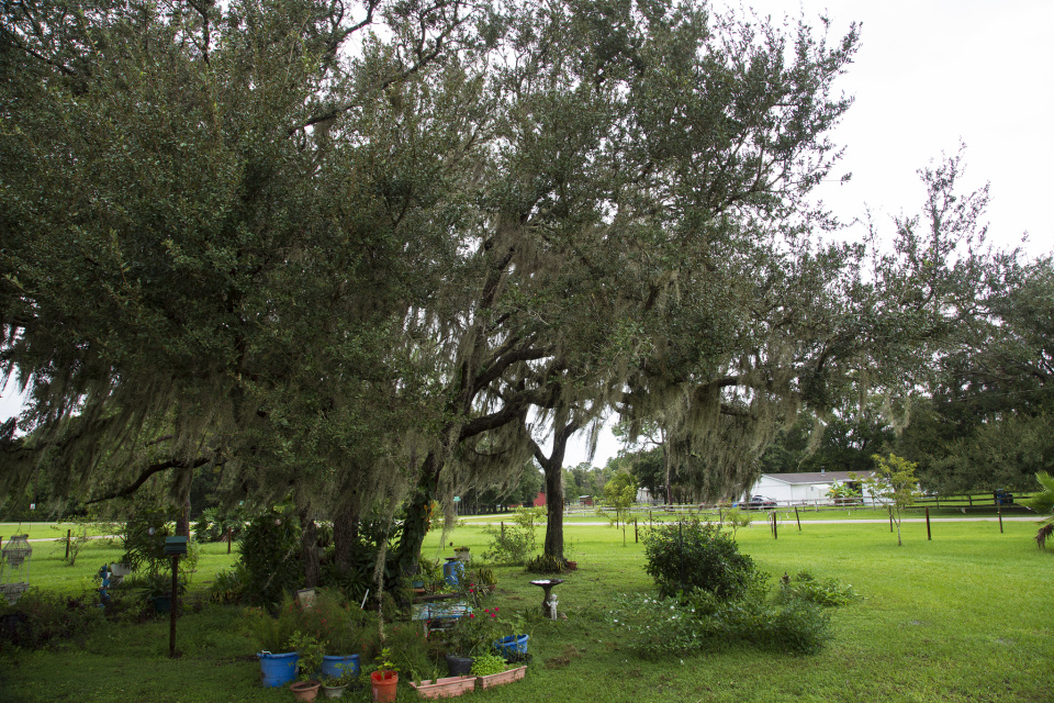 It's Beginning | bugsman | Blipfoto