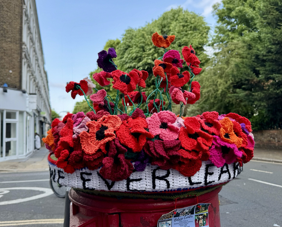 Poppy topper | Diane2104 | Blipfoto