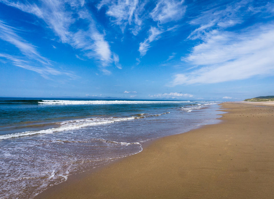 Living the dream! | snapper | Blipfoto