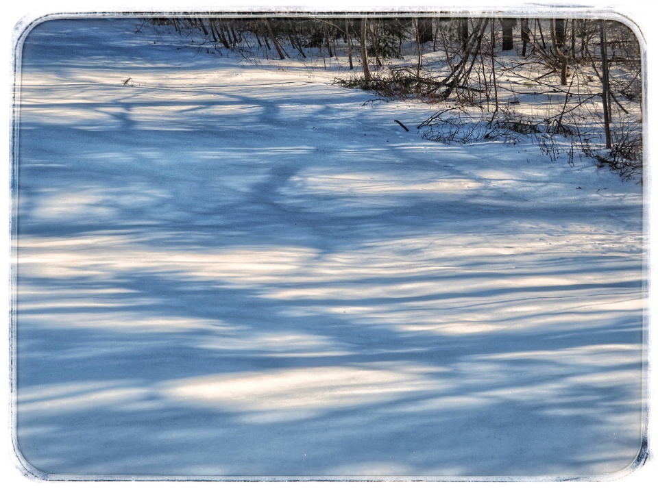 Snow Shadows | Memories4Me | Blipfoto