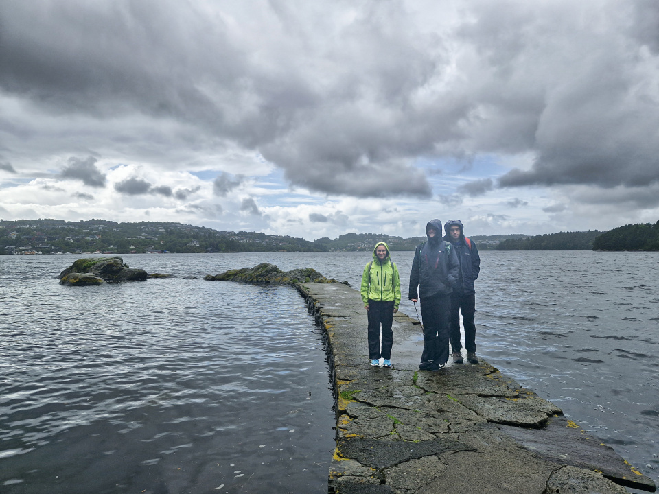 Norway Day 21 | Puffin | Blipfoto