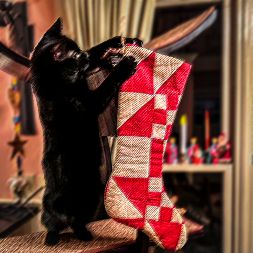 Quick, hang that extra stocking! | justbe | Blipfoto