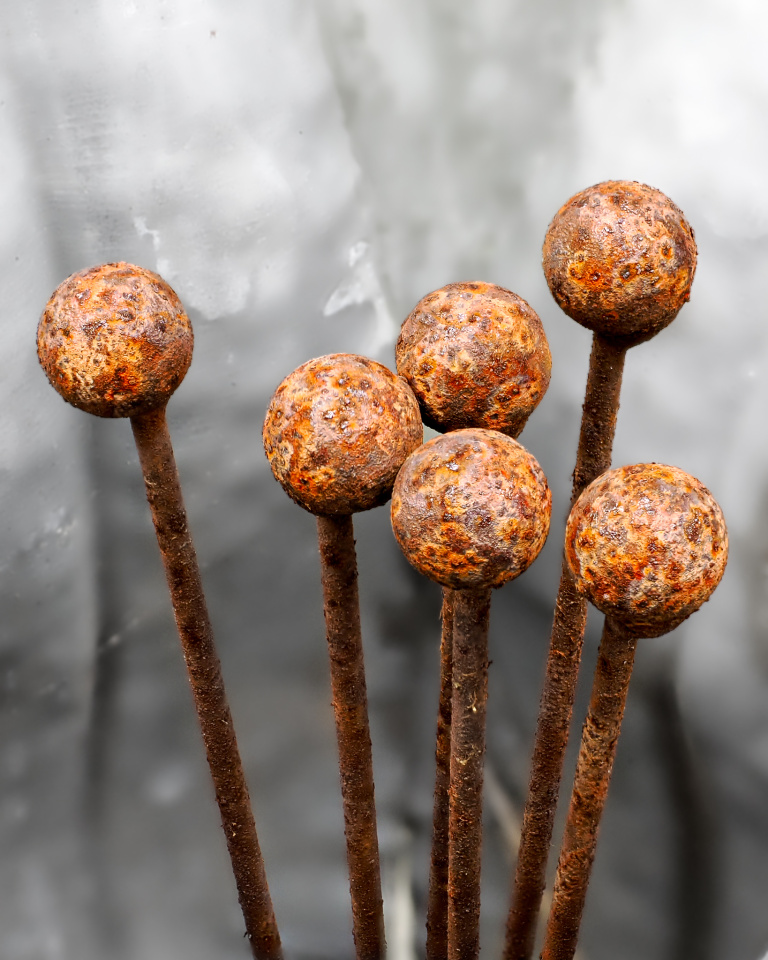 Rusty bits! (EB) | steveng | Blipfoto