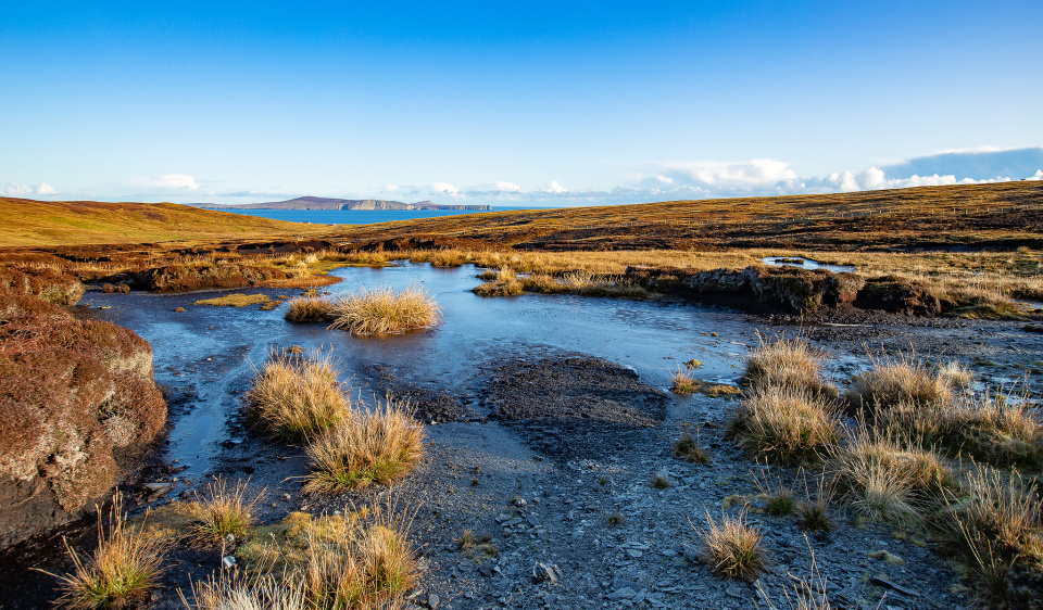 Frozen Peat Bog | Lifeat60Degrees | Blipfoto