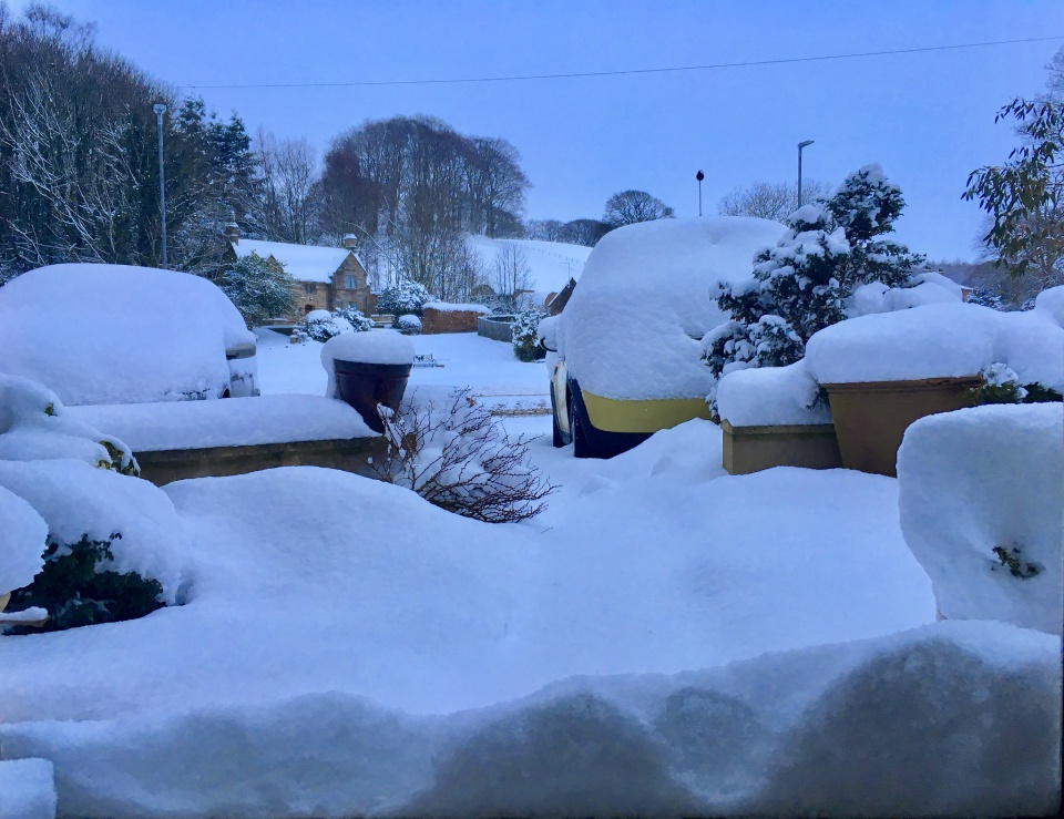 Snow Sherry | HellsBells | Blipfoto