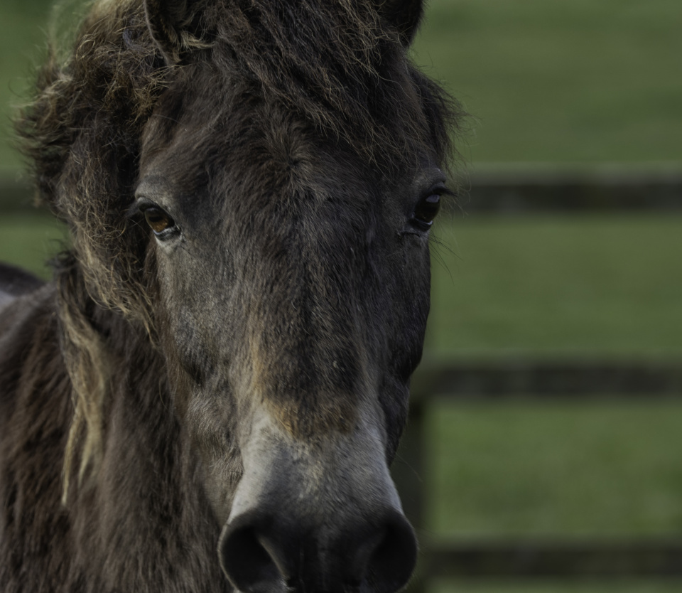 Not a bird | c1aire | Blipfoto