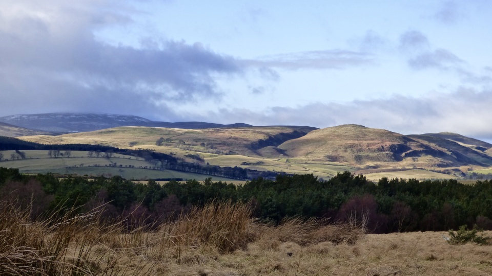 Cheviot view | seizetheday | Blipfoto