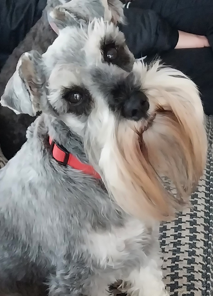 I wuv you, I wuv you, said... | Gritty | Blipfoto