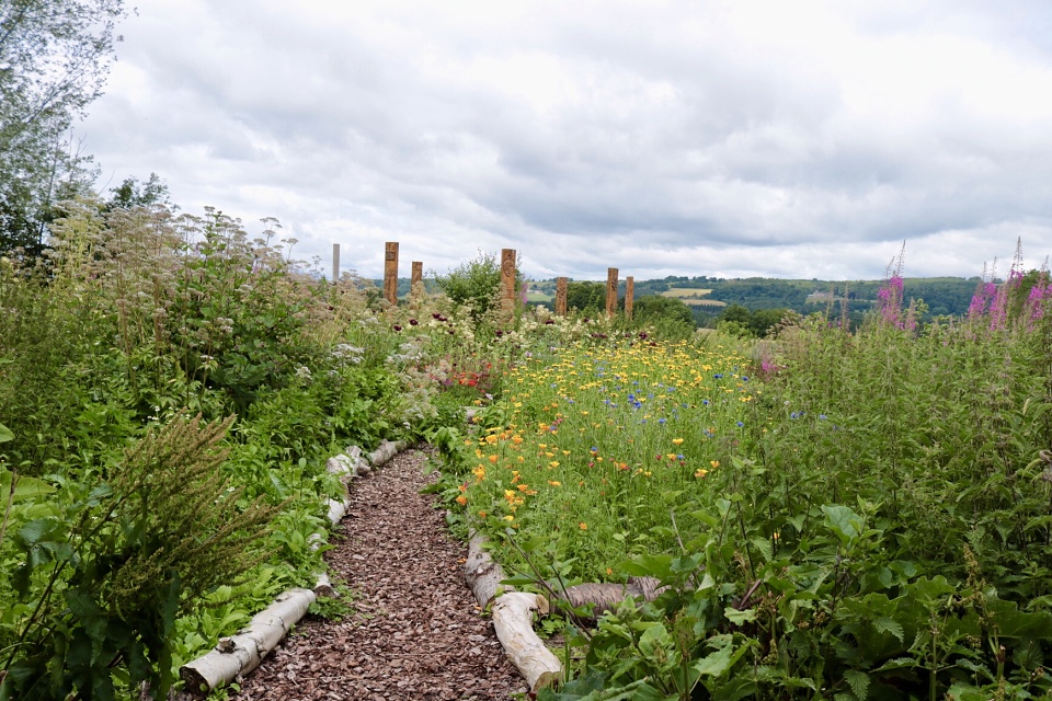 Good choice | Jaybay | Blipfoto