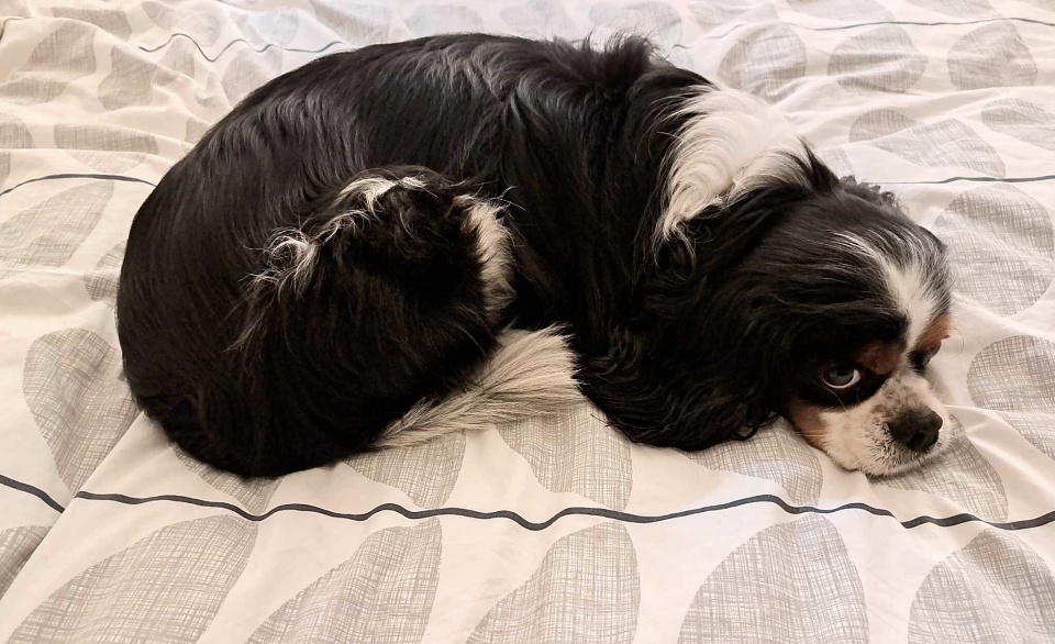 Ready for bed | Emsie | Blipfoto