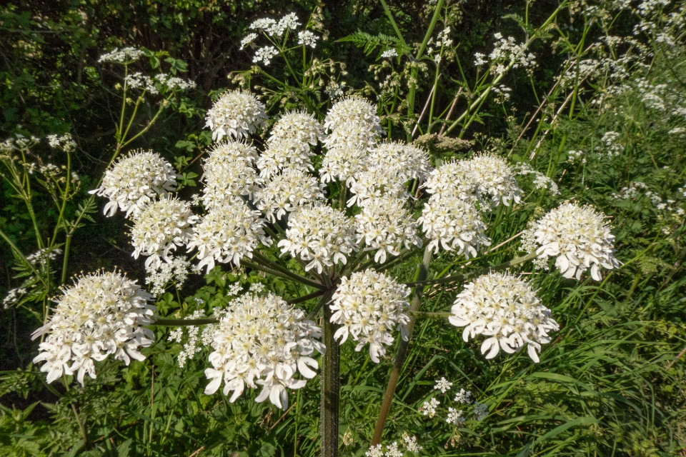 Sunny Again | madwill | Blipfoto