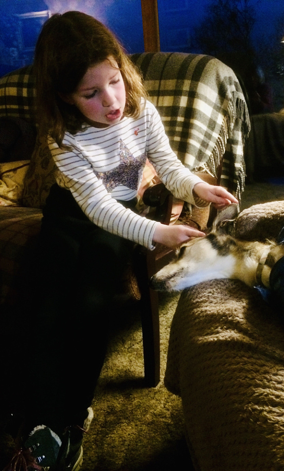 Big Ears | MOLOH | Blipfoto