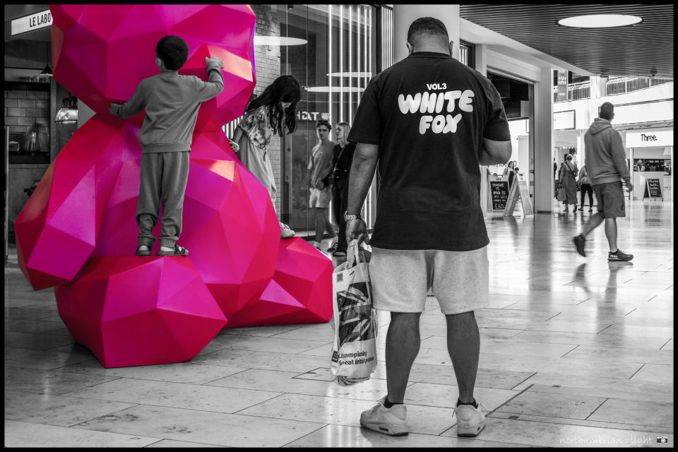 White Fox ... | RobinDown | Blipfoto