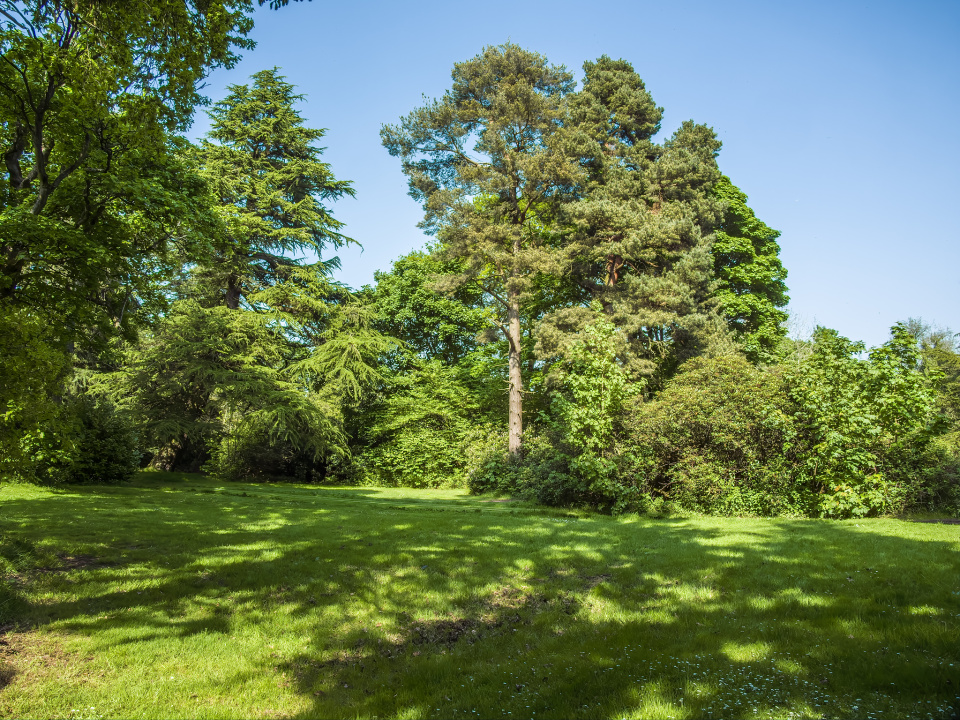 Mortonhall Arboretum | Snowcycle | Blipfoto