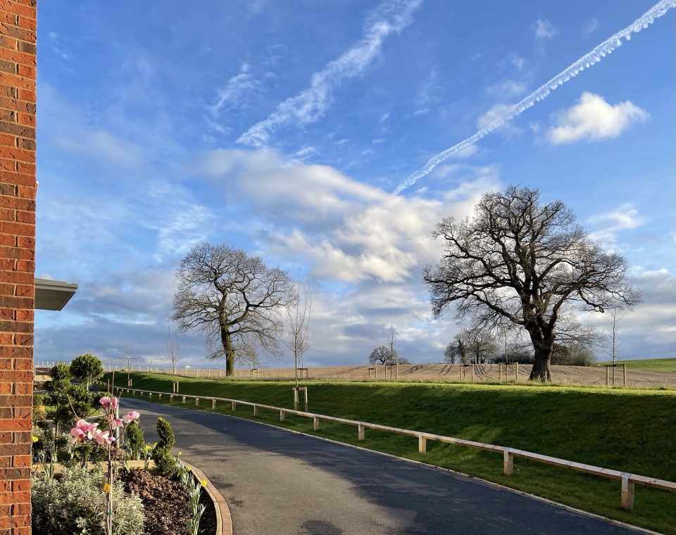 Late blue skies | RonaMac | Blipfoto