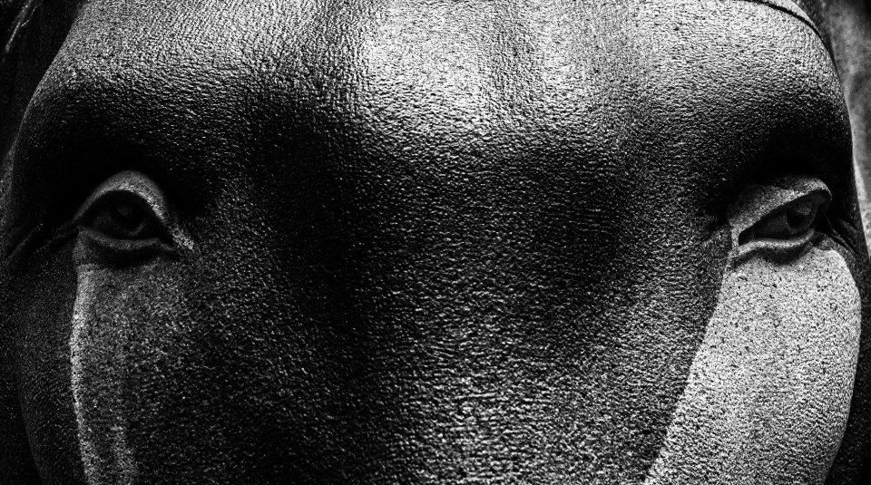 Hard Stare | RtCph | Blipfoto