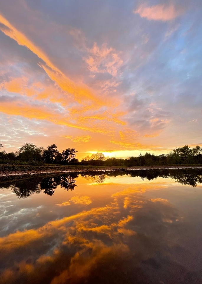 Deep as a puddle | dbrereton | Blipfoto