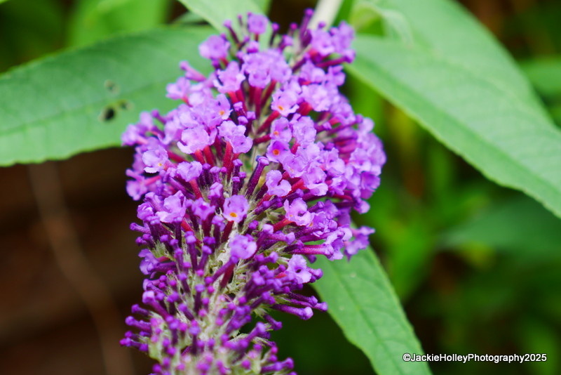 The only | ThingsBeautiful | Blipfoto