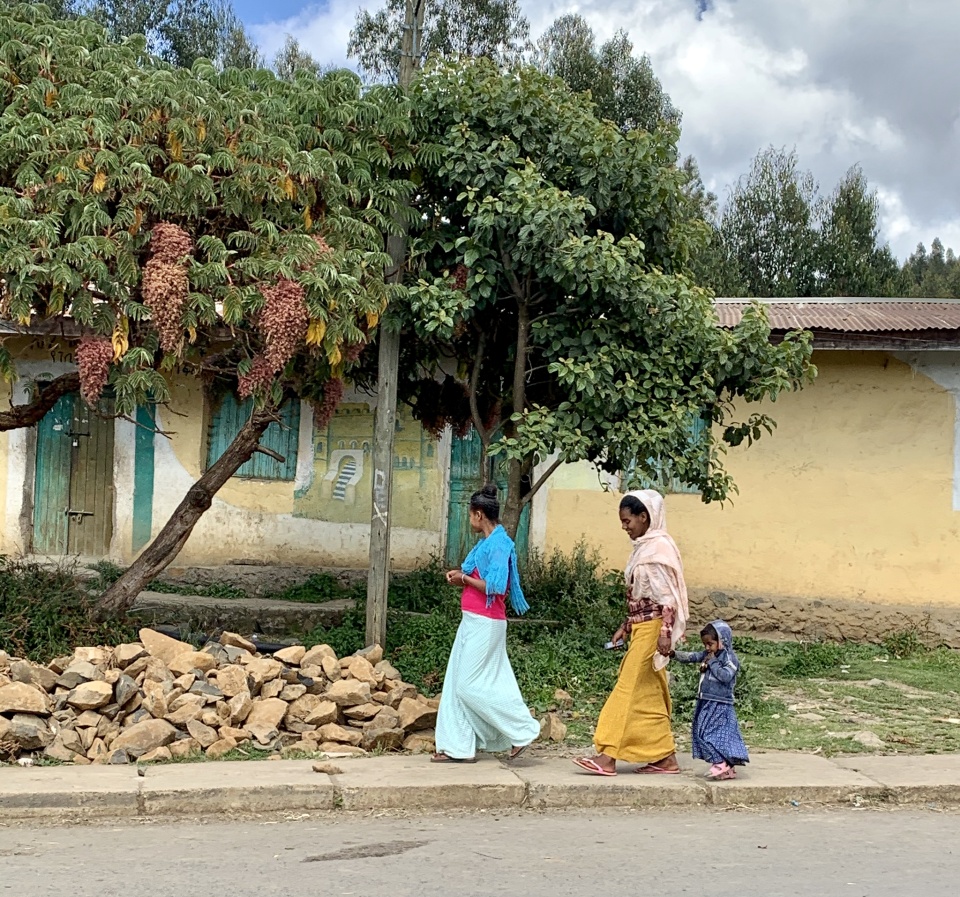 Kosso tree | Munroist4113 | Blipfoto