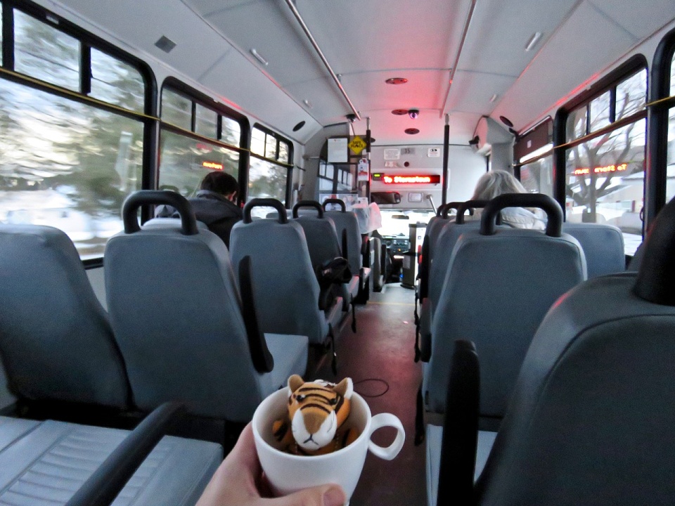 Last Ride on the Stormstown G Bus | GirlWithACamera | Blipfoto