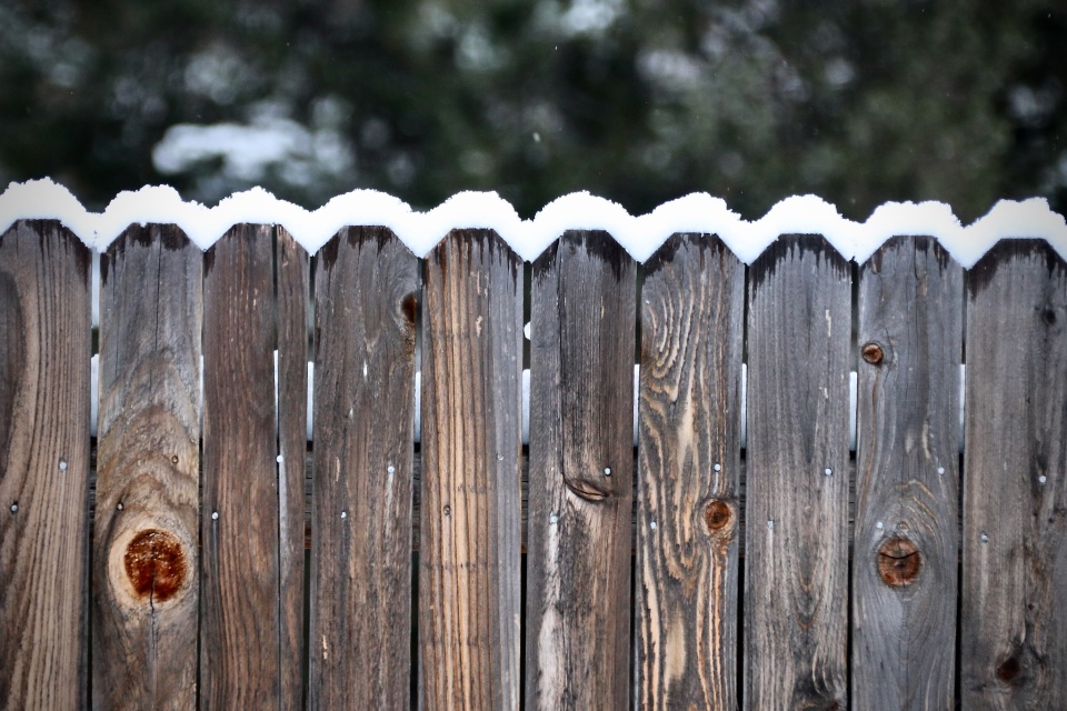 a rik rak trim | stillandknow | Blipfoto