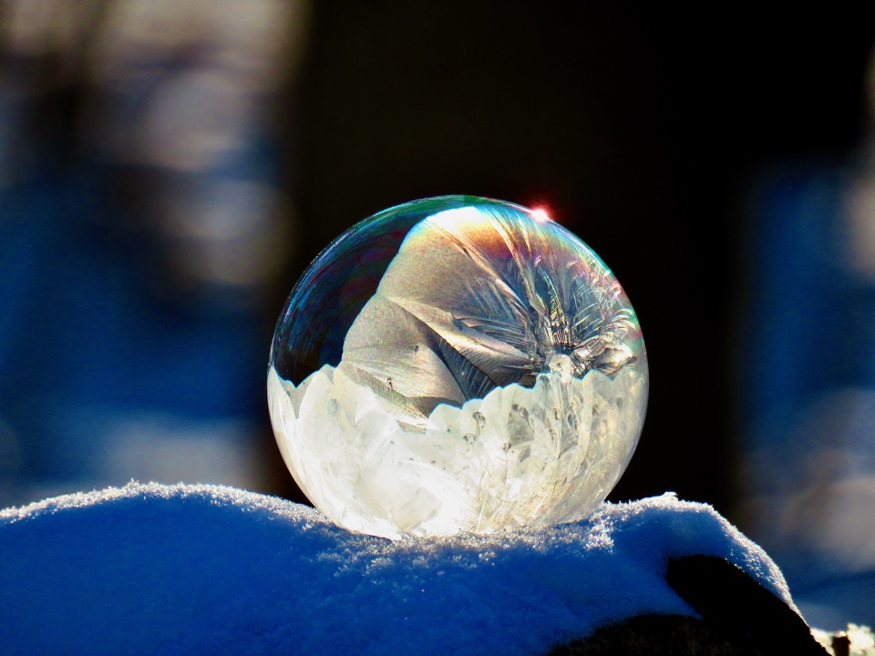Crystal Bliss | GirlWithACamera | Blipfoto