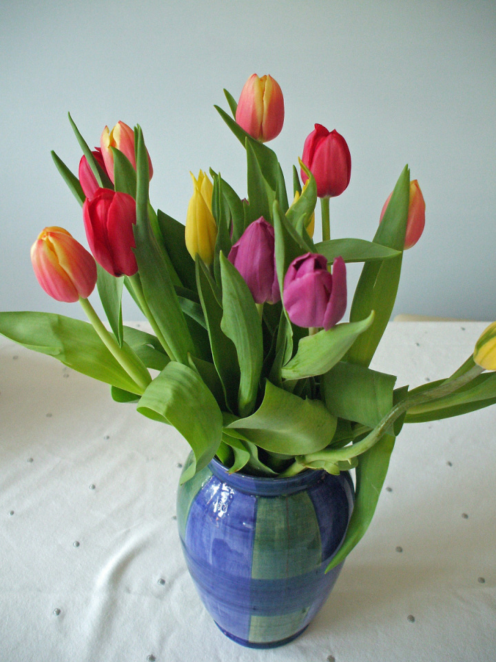 Tulips from Dominic | Emsie | Blipfoto