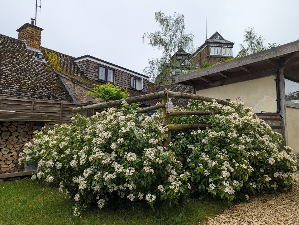 Tough & Tender | Melisseus | Blipfoto