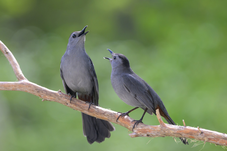 Words... | dbifulco | Blipfoto