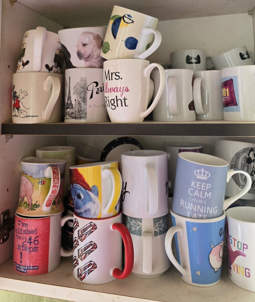 Mug! | snapper | Blipfoto