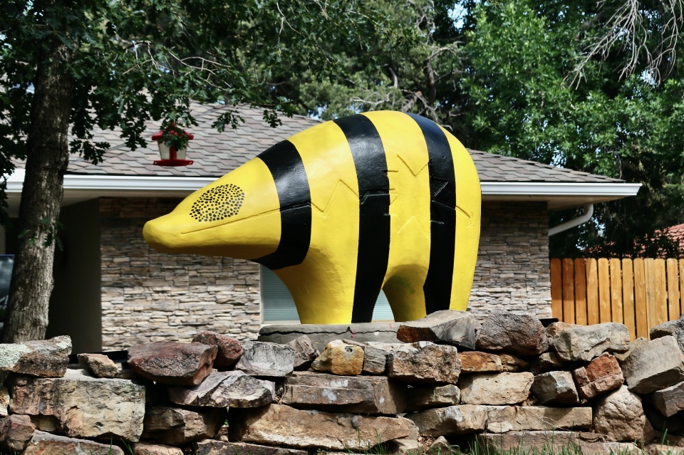 June Bee Bear | stillandknow | Blipfoto