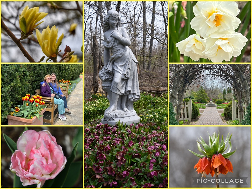 Spring beauty | turnx3 | Blipfoto