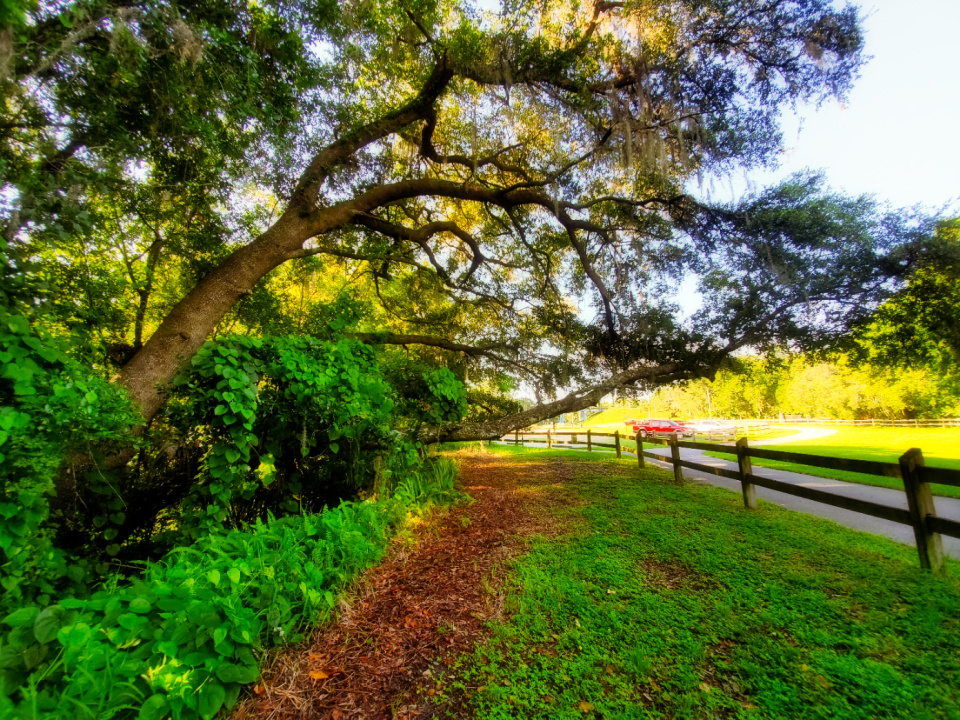 Beginning | bugsman | Blipfoto