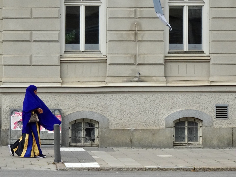 Windswept | heanku | Blipfoto