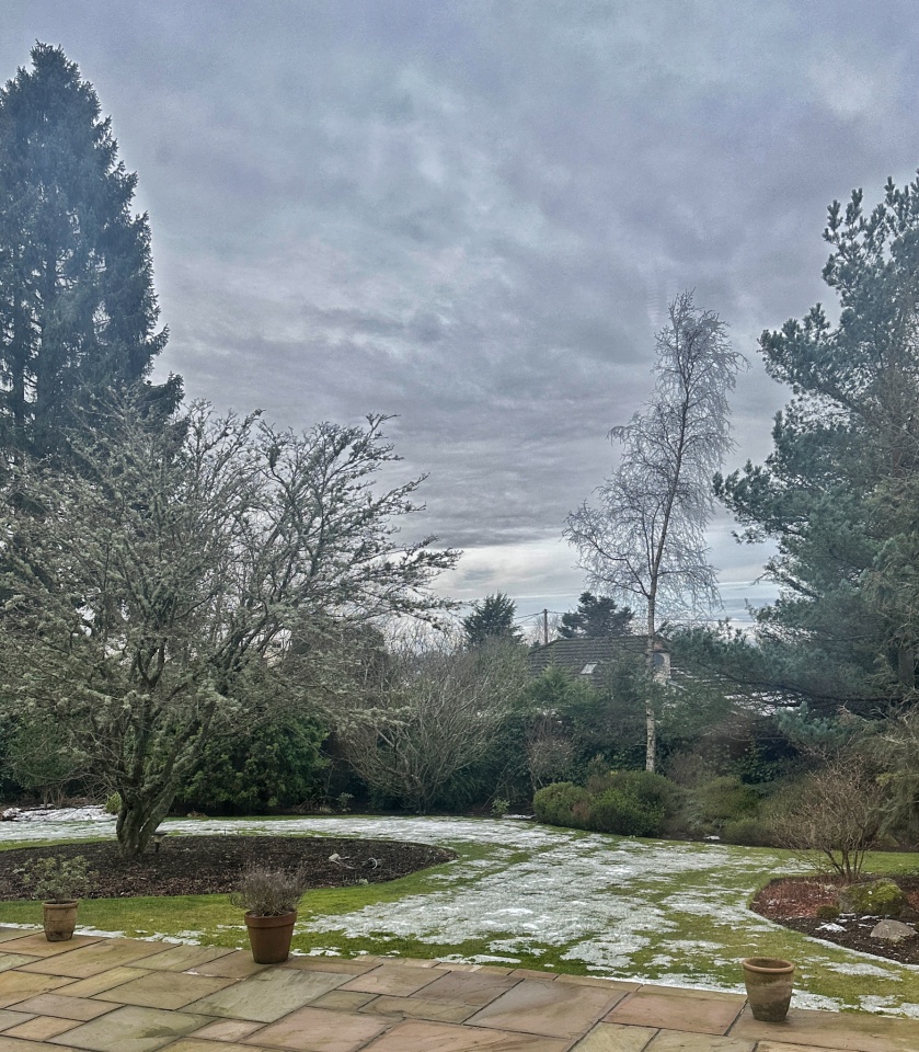 Driech! | Damnonii | Blipfoto