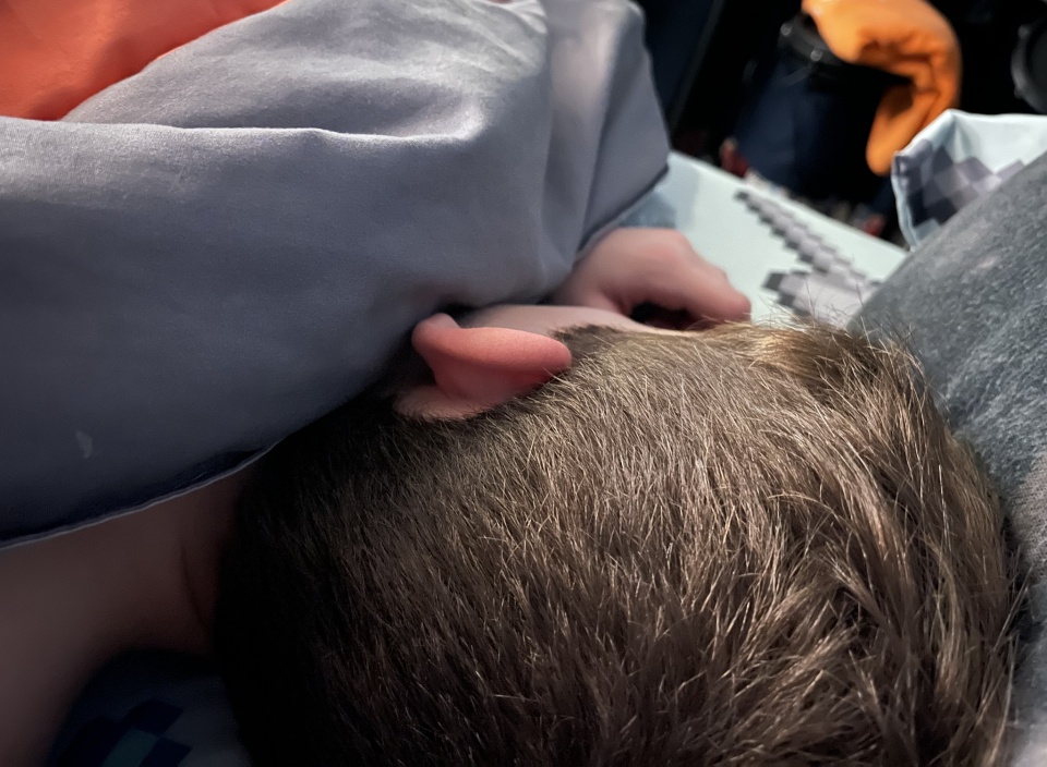 End Of The Day | TurtleBug | Blipfoto