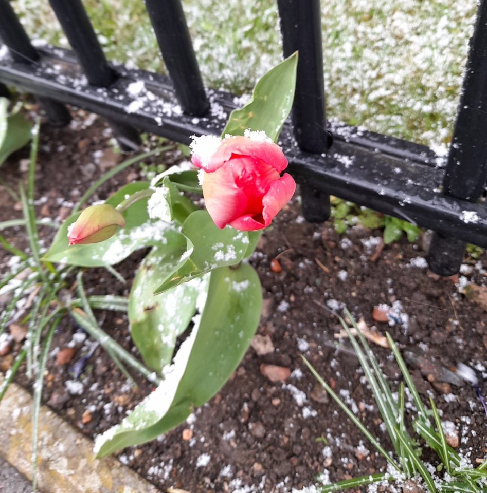 A typical spring day... | awelsh | Blipfoto