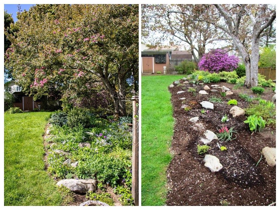 A 10 year difference | KathyH58 | Blipfoto
