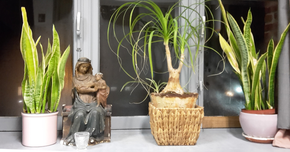 a traditional Flemish window display | 123andgazeven | Blipfoto