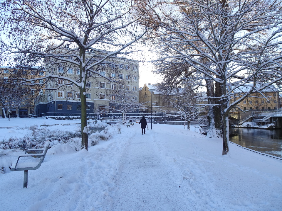 Risky life | heanku | Blipfoto