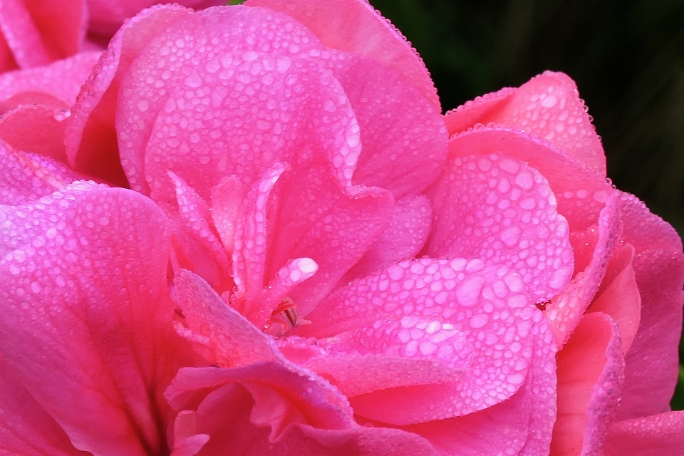 inland marine layer meets dew point | stillandknow | Blipfoto